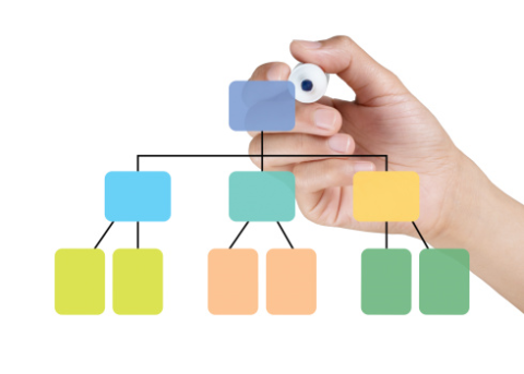 5 Essentials To Effective Organization Design